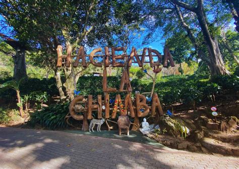 Hacienda La Chimba Costa Rica Café Caminatas Y Aventura Cerca De San