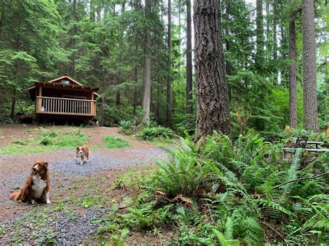 20 Best Cabin Rentals Near Seattle Wa Us 2026 Hipcamp