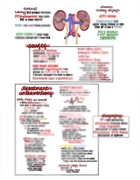 Mastering Renal Health Ckd And Aki Nursing Notes For Rns And Rns To Be