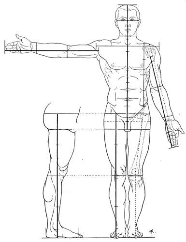 11 Idées De Paul Richter Anatomy Anatomie Artistique Proportion