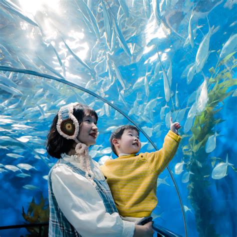 上海水族馆网络售票系统