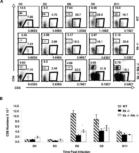 Figure 3 From Tec Kinases Itk And Rlk Are Required For Cd8 T Cell