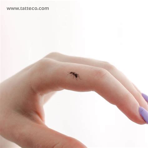 Minimalistic Style Ant Temporary Tattoo Done On The