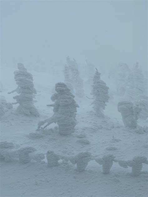The Juhyo “snow Monsters” Of Mt Zao Yamagata Japan R Skiing