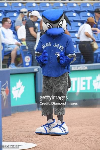 The Toronto Blue Jays Mascot Ace Performs Prior To A Spring Training News Photo Getty Images
