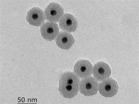 Mse Pro 10ml Silica Coated Gold Nanoparticles Ethanol Solution 005mg