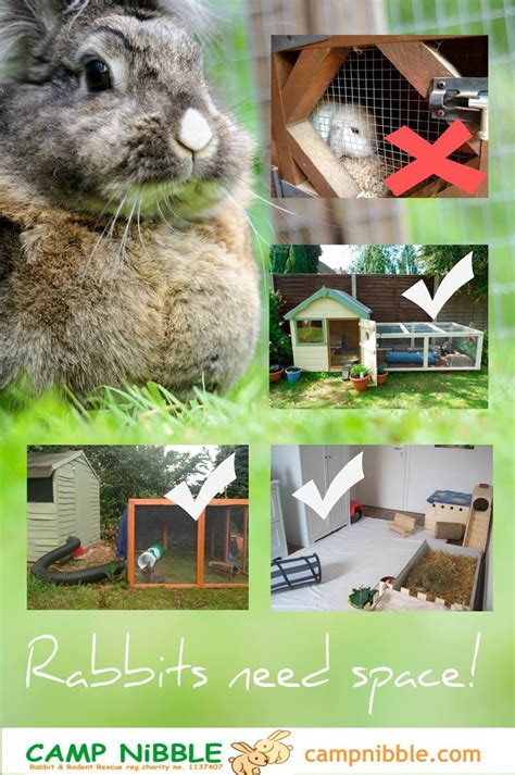 135 Best Images About Rabbit Housing Indoor On Pinterest Rabbit Cages