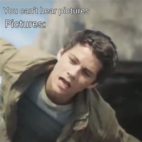 Dylan Obrien Meme Maze Runner Funny Maze Runner Movie Maze Runner