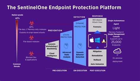 Sentinelone Endpoint And Server Protection Ccsi