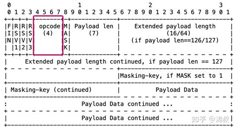 Mqtt和websocket的区别是什么？