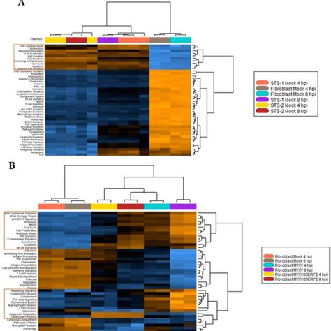 Heatmaps Of Pathway Signatures Analyzed Using Ncounter 40 Advanced