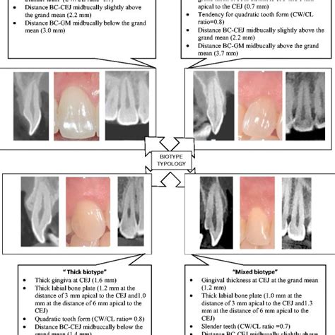 Biotype Typology Numbers In Brackets Represent Mean Values Of The