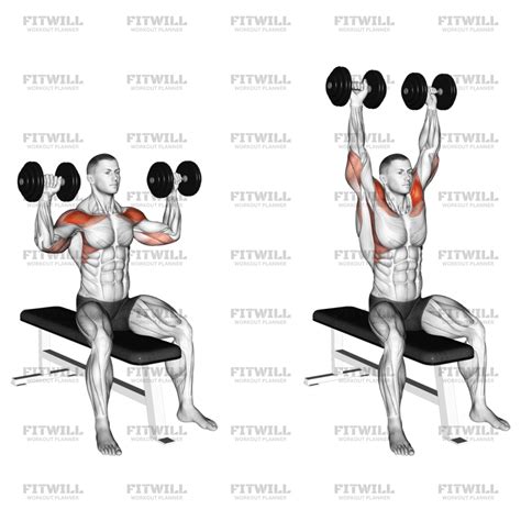 Ultimate Dumbbell Shoulder Workout For Strength And Definition Workout