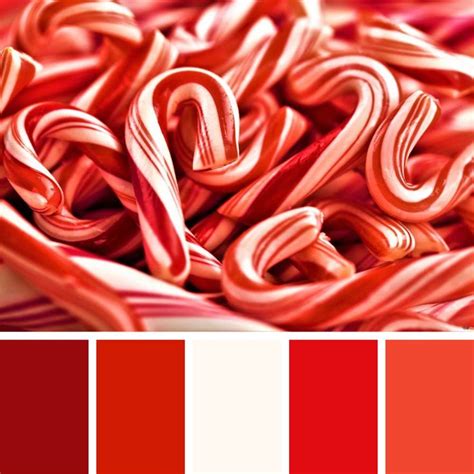 Mini Peppermint Candy Canes Color Palette