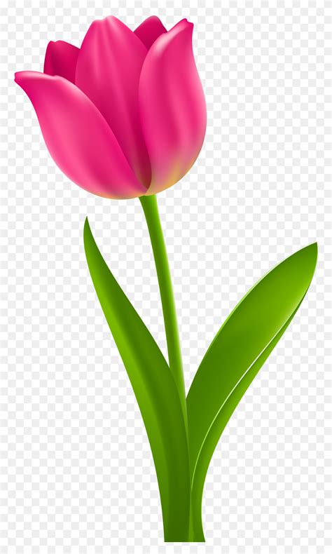 Tulips Clipart Black And White Clip Art Images Tulip Clipart Flyclipart