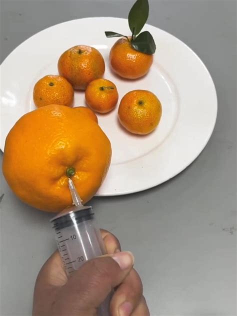 Orange Small To Big By The Injection One News Page Video