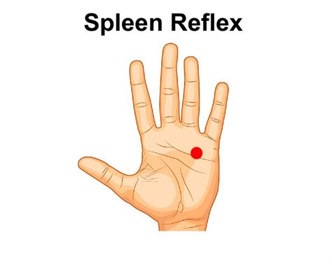 Hand Reflexology For Diabetes Bliss Squared Massage