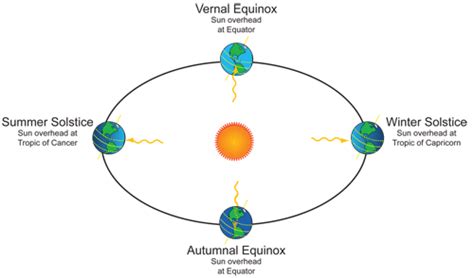 The Science Behind The Summer Solstice Plantsareokay Blog On Tumblr
