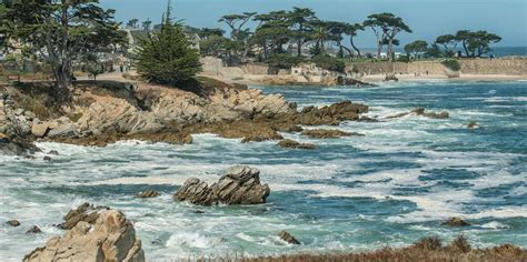 Gita Di 1 Giorno Da Contea Di Monterey California Getyourguide
