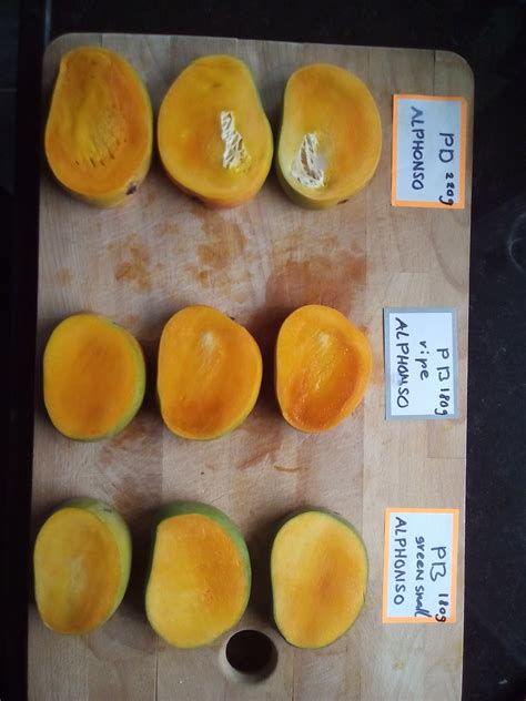 Questions With Answers In MANGO Science Topic