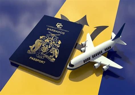 Services1 Passport Babies