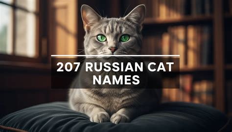 207 Russian Cat Names For Your Bold And Regal Kitty Petflect