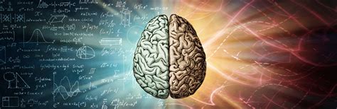 Iq Vs Eq Why Emotional Intelligence Matters More Than You Think