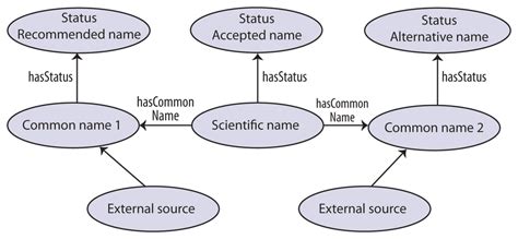 The Ontology Model Of The Common Names Of Organisms The Ellipses Download Scientific Diagram