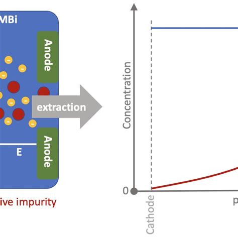 Our Idea How An Electrostatic Filter Should Affect The Concentrations Download Scientific
