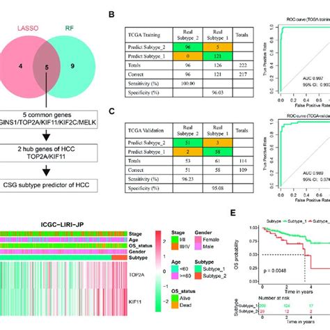 Construction And Evaluation Of The Csg Subtype Predictor Of Hcc A