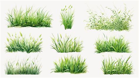 Editable Grass Design Element Set Premium Editable Design Rawpixel