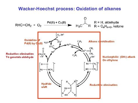 Homogeneous Catalysis Hmc 5 — 2013 Dr K R