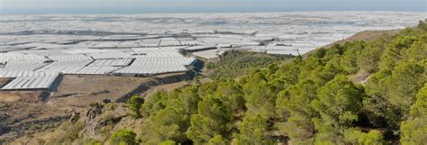 Excursiones Visitas Guiadas Y Actividades En El Ejido Página 2