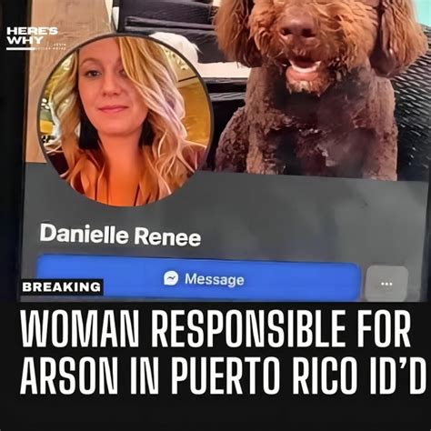 Don Goyo 🚨 ¡esta Es La Turista Danielle Bertothy De St Louis