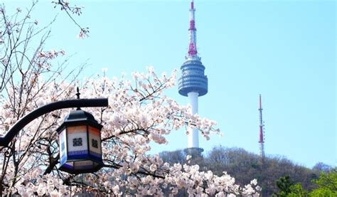 N Seoul Tower Namsan Tower Observatory Ticket In Korea Trazy Korea