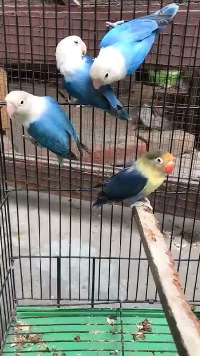 Music Slowedandreverb Halloween Remix Youtube