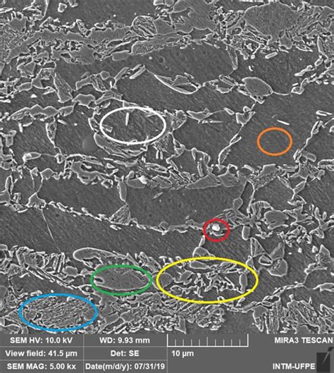 Microstructure Of The As Received Material Download Scientific Diagram