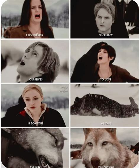 Wolf Pack Wallpaper Wolfs In The Woods Twilight Wolves Twilight
