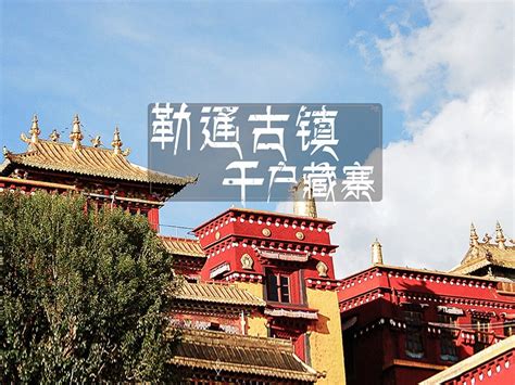 勒通古镇景区官网ptbye 站酷zcool