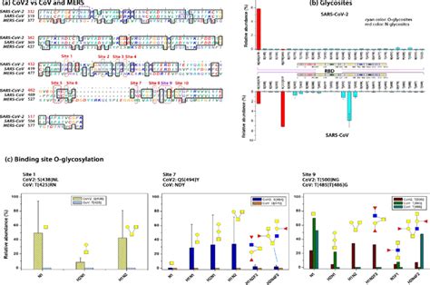 O Glycosites In Or Nearby Key Ace2−rbd Binding Sites A Ten Binding