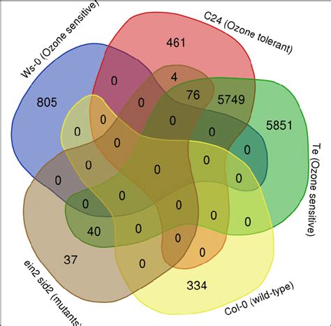 Venn Diagram Showing Differentially Expressed Genes Under Ozone Stress