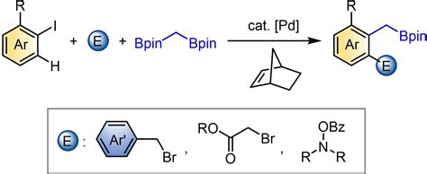 Palladium‐catalyzed Catellani Reaction With 1 1‐bis[ Pinacolato Boryl