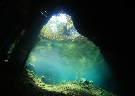 Ginnie Springs Florida Cave Ginnie Springs Day Trip Because Heaven Is