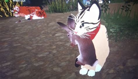 Pixie With Rabbit By Sleetsnowtail On Deviantart