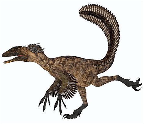 Deinonychus Dino Encyclopedia
