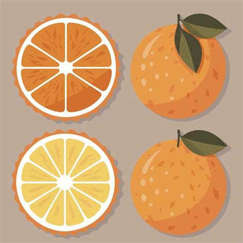 Premium Vector Set Of Oranges Vector