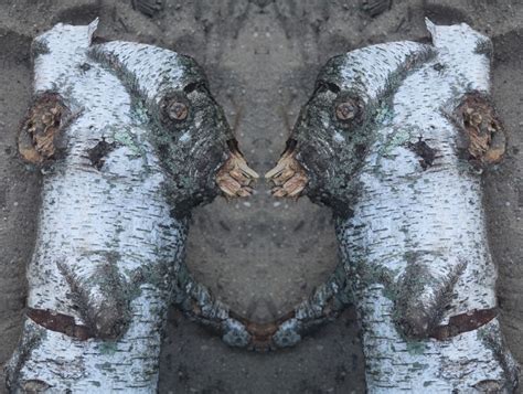 Ashley Davidoff Double Exposure Lensculture