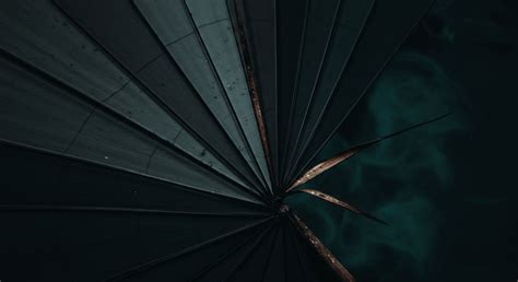 Attribution Vs Contribution → Term