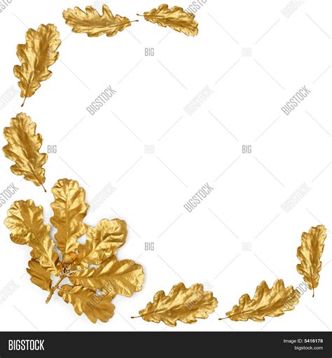 Oak Leaf Border Image And Photo Free Trial Bigstock