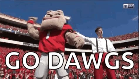 Georgia Bulldogs S Tenor
